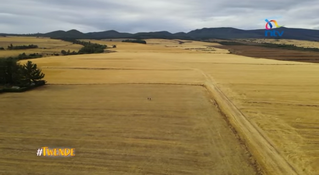 NTV Kenya: Twende Embori