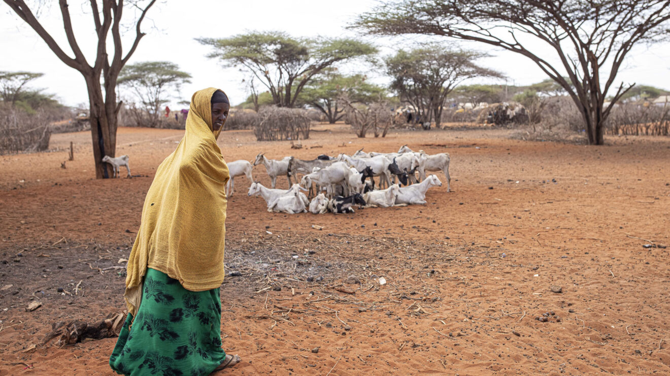 NTV Kenya: IGAD warns of 5th consecutive failed rainy season in greater ...