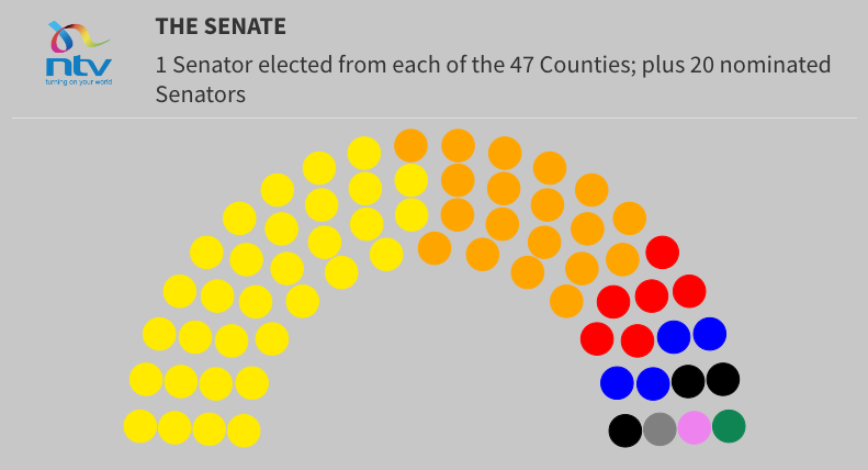 NTV Kenya: Ruto’s UDA gets most nomination slots, to dominate both ...