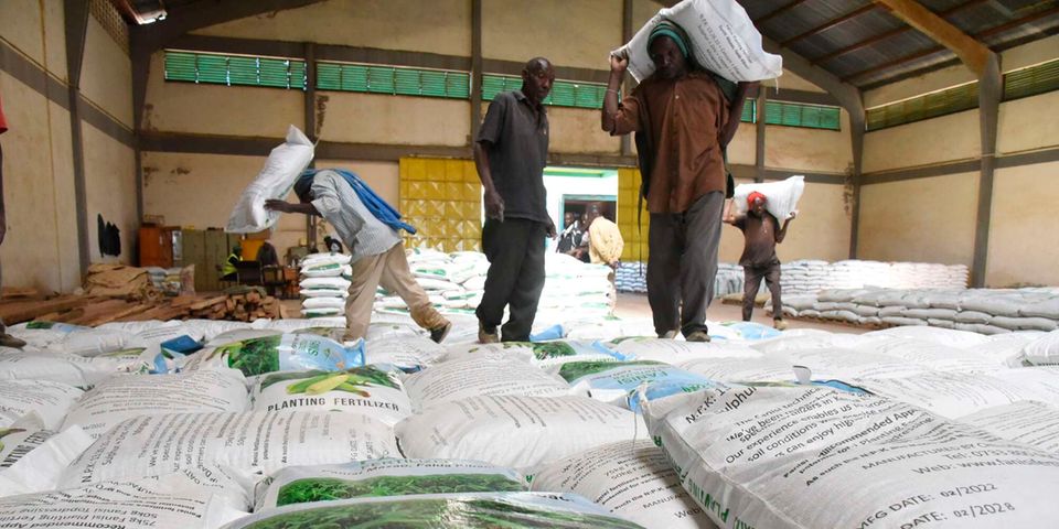 NTV Kenya: Government doubles down on fertilizer subsidies to boost ...