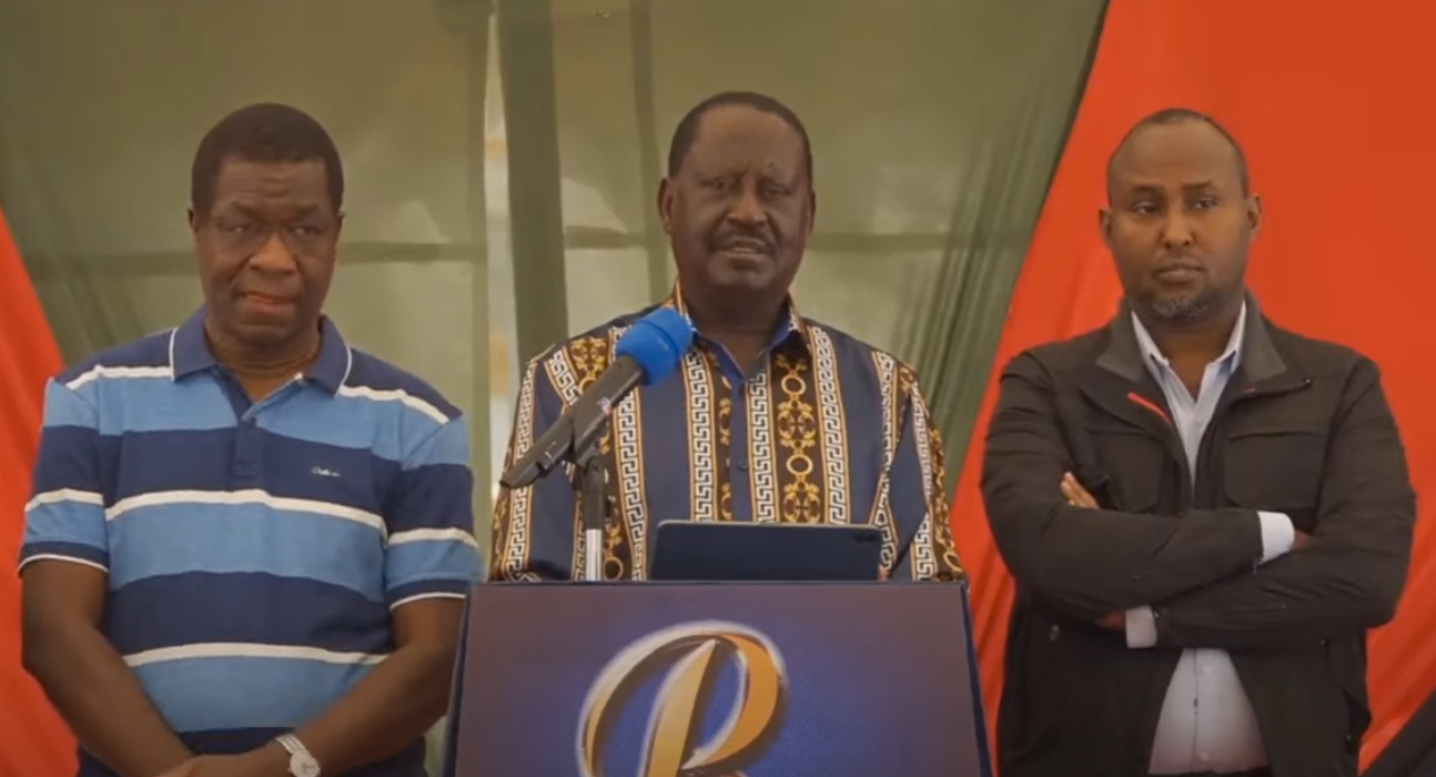 NTV Kenya: Reject President Ruto’s GMO maize, Raila tells Kenyans
