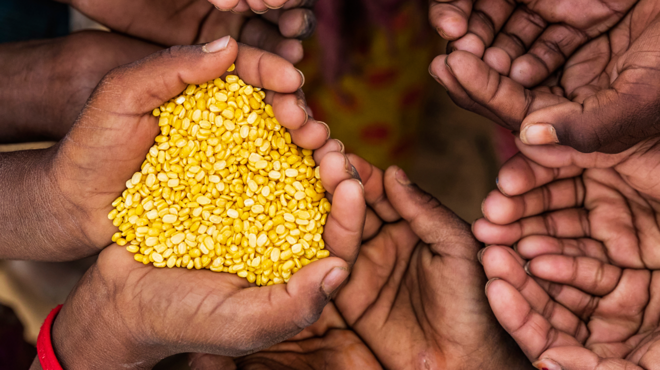 NTV Kenya: Kenya imposes new levies on grain imports, sparking fears of ...