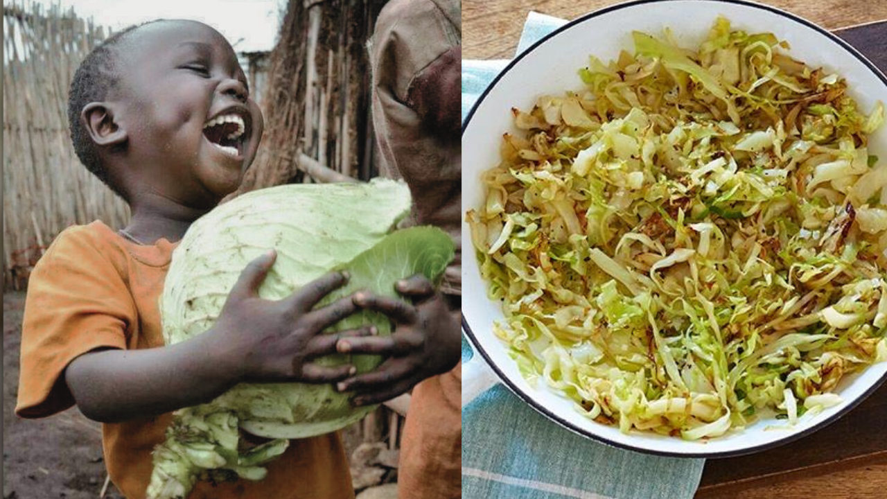 NTV Kenya: Making Cabbage Great Again: 10 Recipes You Can Try