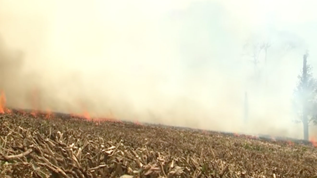 NTV Kenya: More than 15 acres of tea farms destroyed by fire in Limuru