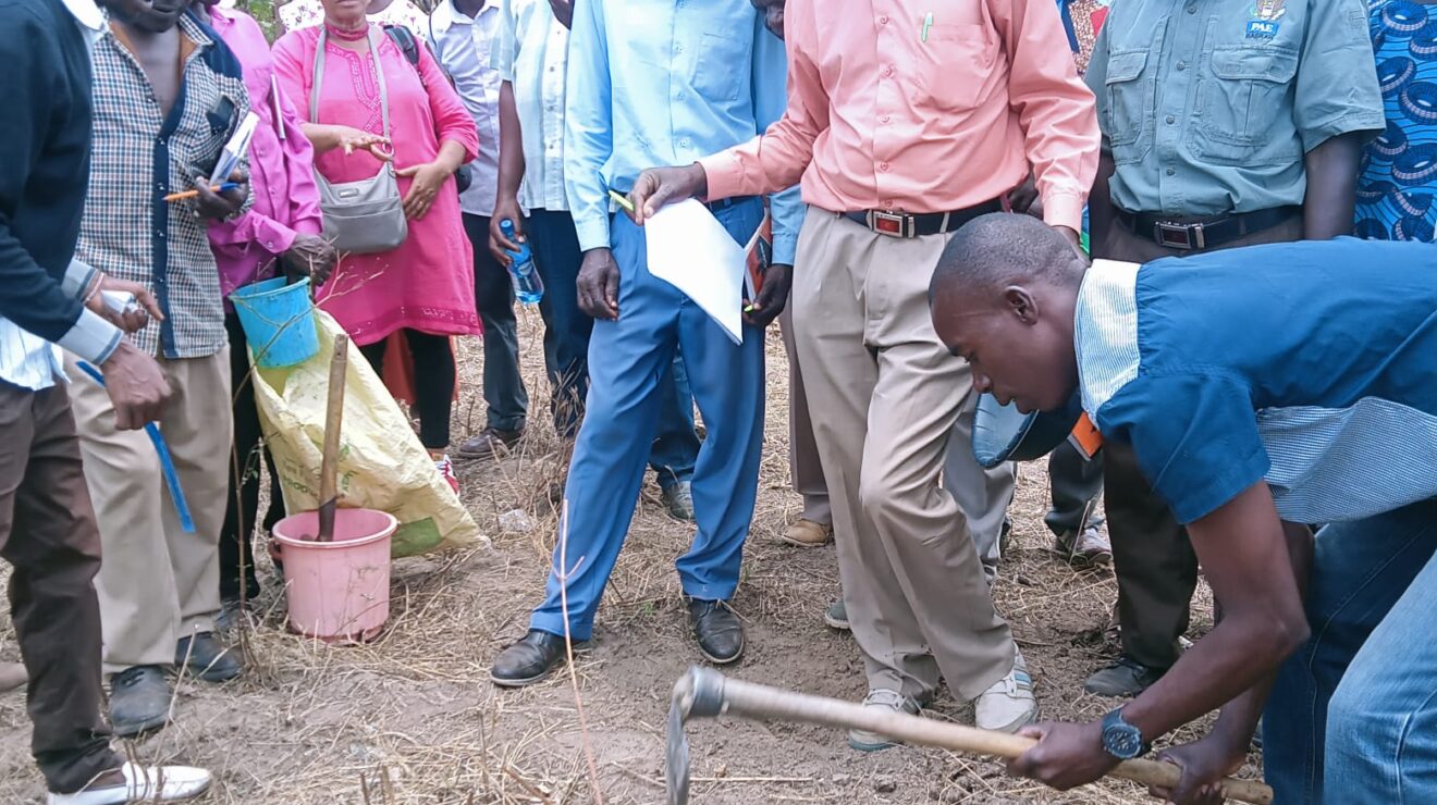 NTV Kenya: Experts warn low soil testing in Western Kenya leading to ...