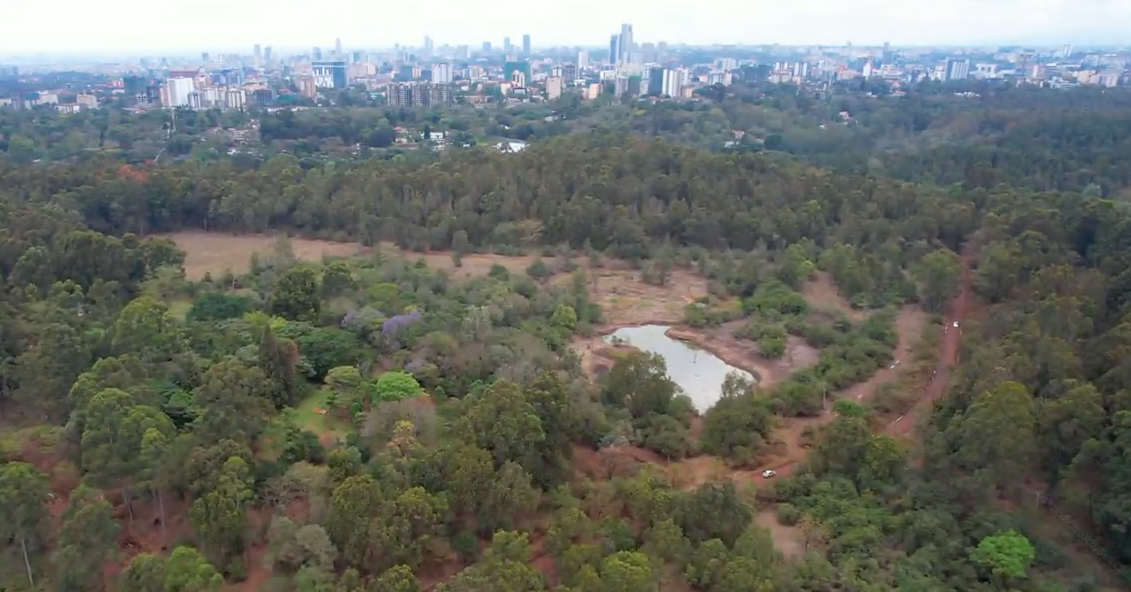 NTV Kenya: EACC recovers Sh2.8 billion Karura Forest property