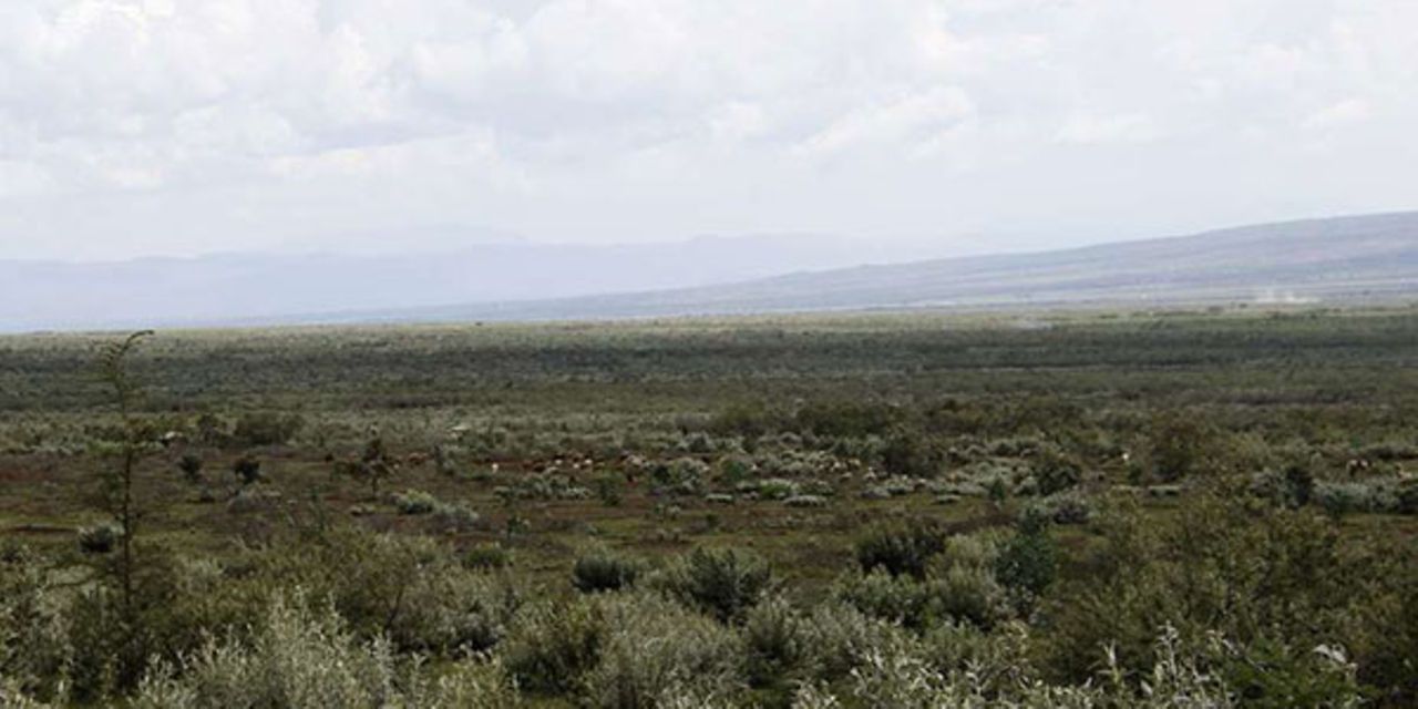 NTV Kenya: Narok: Kenya Kwanza MPs want Kedong ranch given back to ...