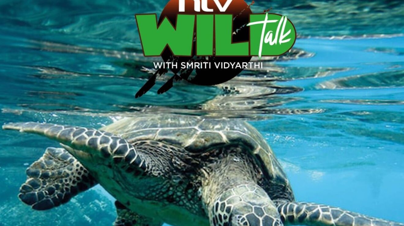 NTV Kenya: COMING SOON: NTV Wild Talk makes a comeback on your screen