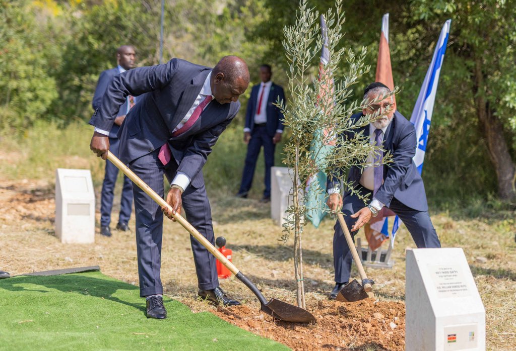 NTV Kenya: President Ruto: Now I know tree planting is biblical, needs prayers