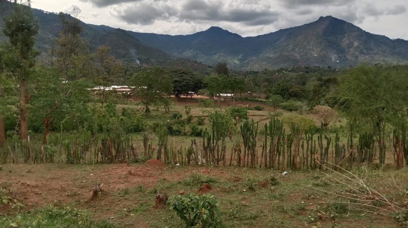 NTV Kenya: Mt. Mtelo: The sacred mountain where the Pokot pray
