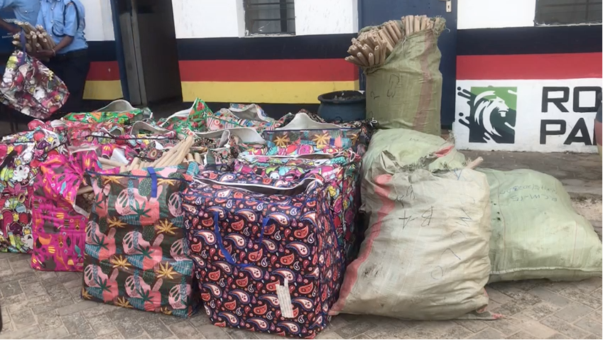 NTV Kenya: Bhang estimated to be worth KES 21 million nabbed in Mtwapa