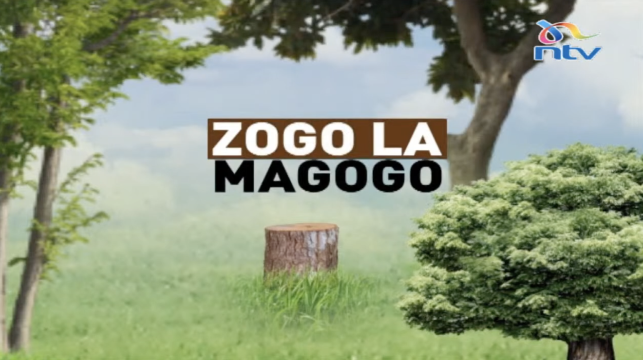 NTV Kenya: Zogo la Magogo