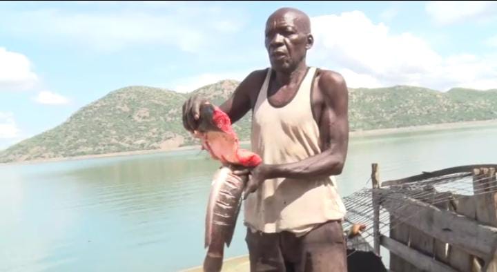 NTV Kenya: Reformed bandits in Turkwel, Pokot turn to fish farming