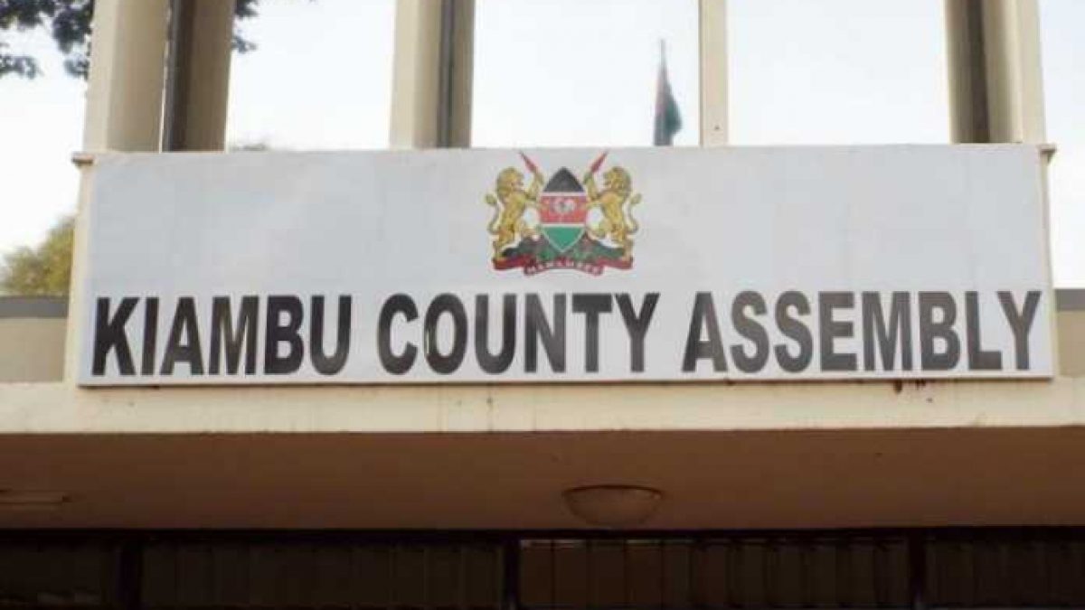 Kiambu County Logo The Kiambu County Youth Innovation And