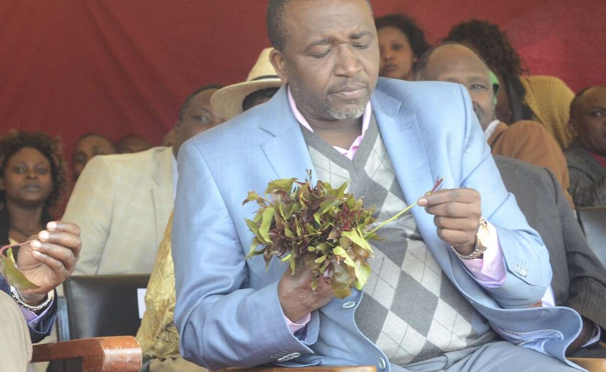 NTV Kenya: Miraa farmers seek Sh130m promised by Linturi to revamp sector
