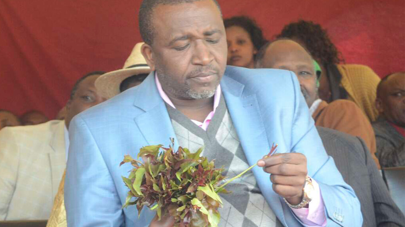 NTV Kenya: CS Linturi slams Nacada for classifying Miraa as a drug