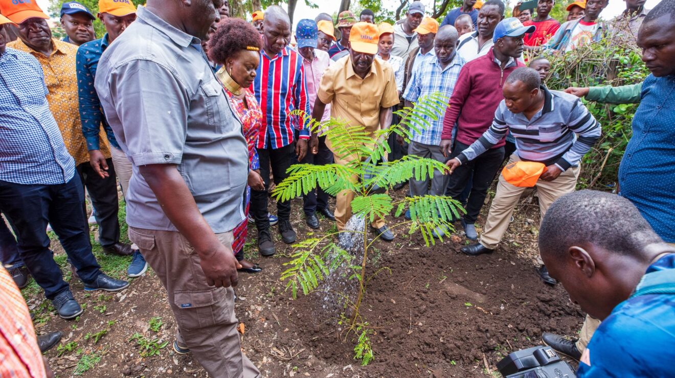 NTV Kenya: Raila heeds Ruto’s call to plant trees