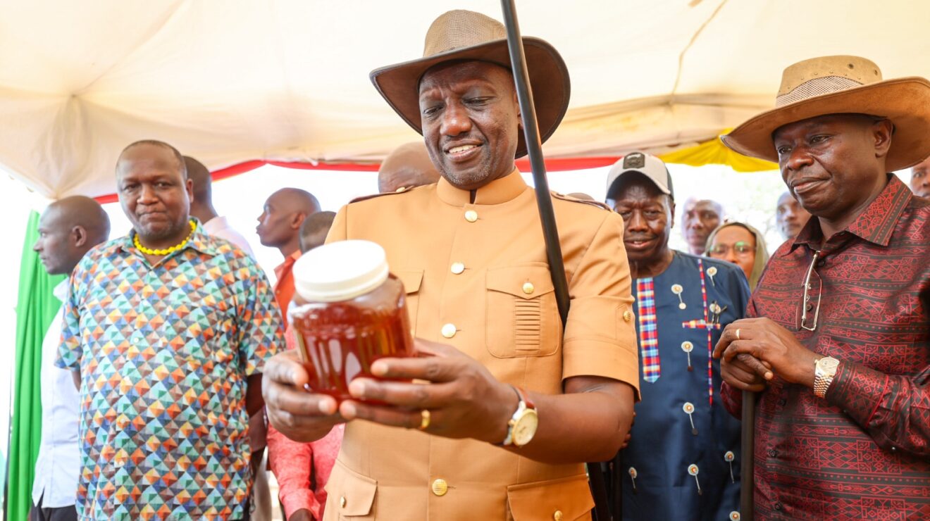 NTV Kenya: Ruto wants Kenya to halve its value of food imports to Sh250 ...