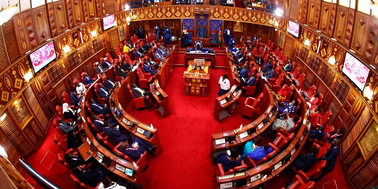 NTV Kenya: Senators want deputy governors given specific roles in law