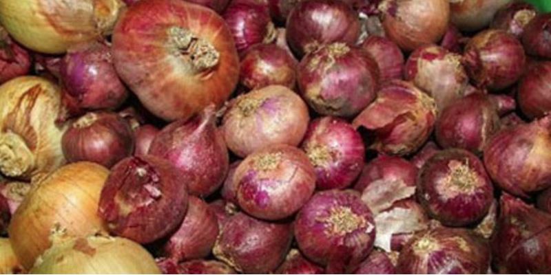 NTV Kenya: Onion shortage blamed on poor quality seeds