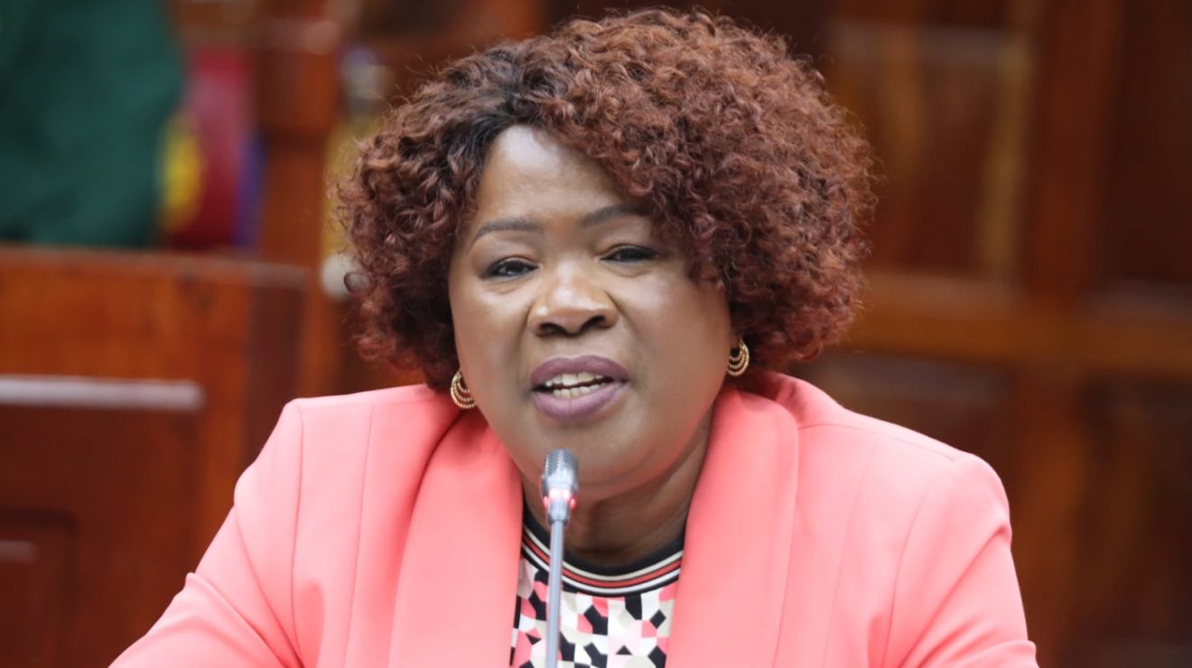 NTV Kenya: Full session: Vetting of Lands CS nominee Alice Wahome