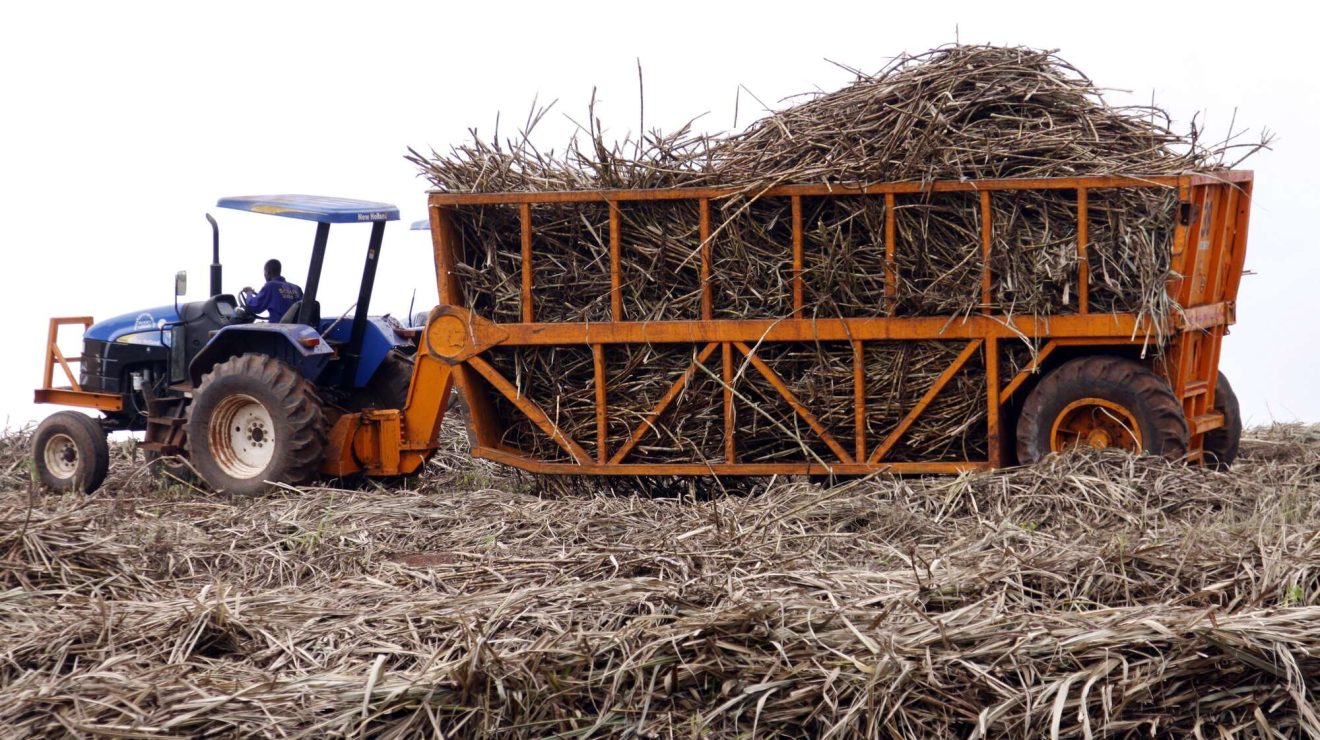 NTV Kenya: Coast cane farmers decry exclusion from Ruto bonus