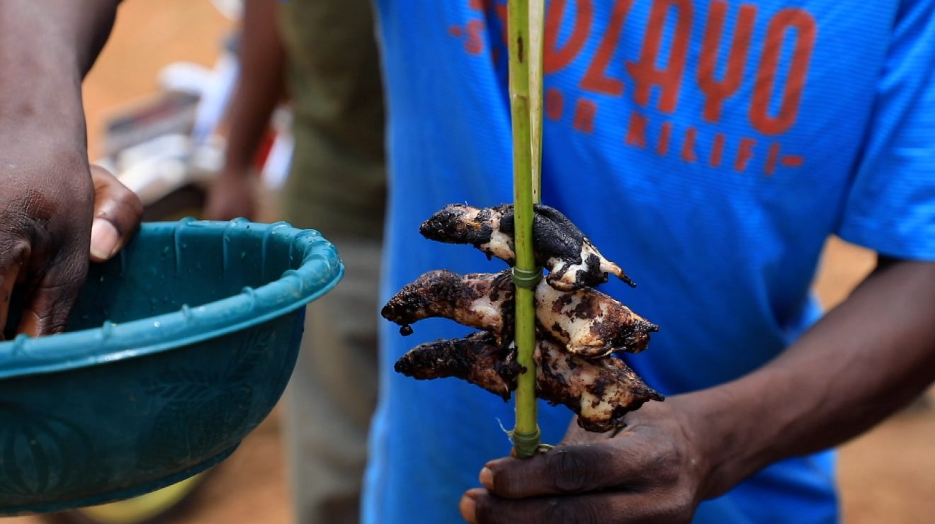 NTV Kenya: ‘Kadzora’ delicacy: Kilifi’s roasted rat cuisine