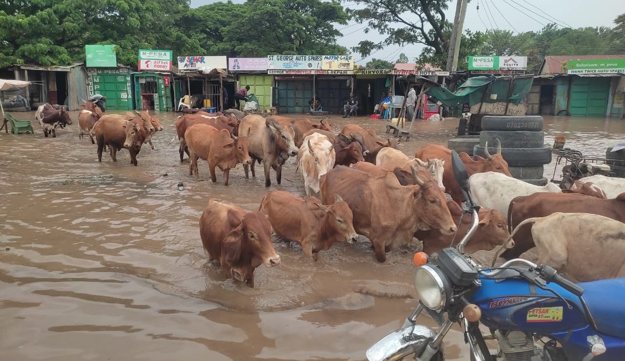 NTV Kenya: Thousands displaced after River Nyando bursts its banks