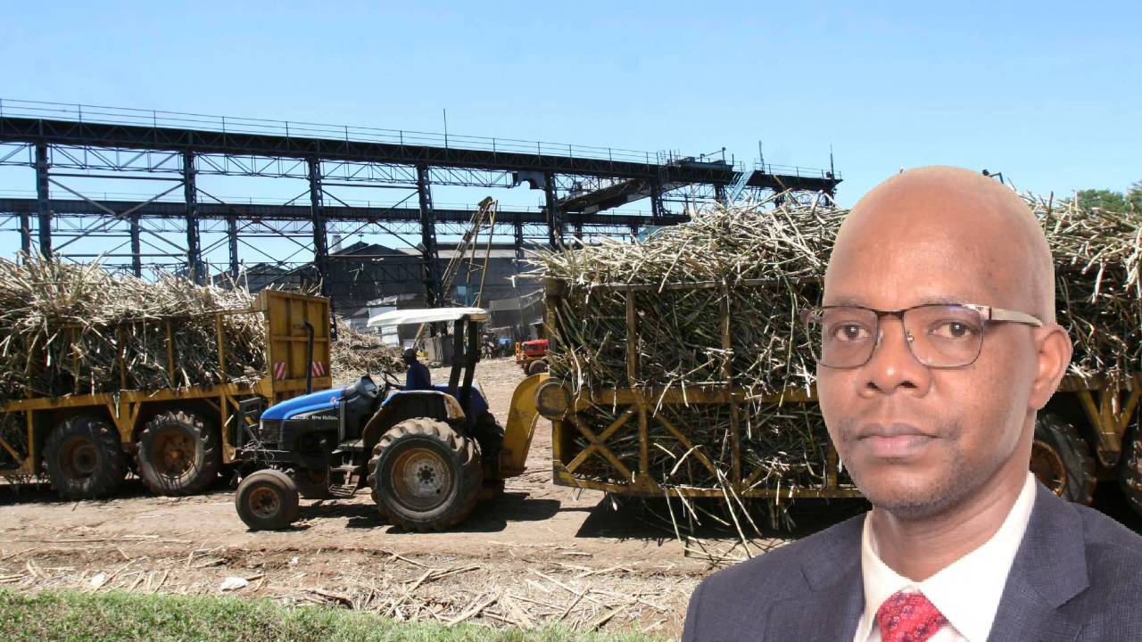 Sony Sugar Logo Sony Announces Tech Participation At Super Bowl TV