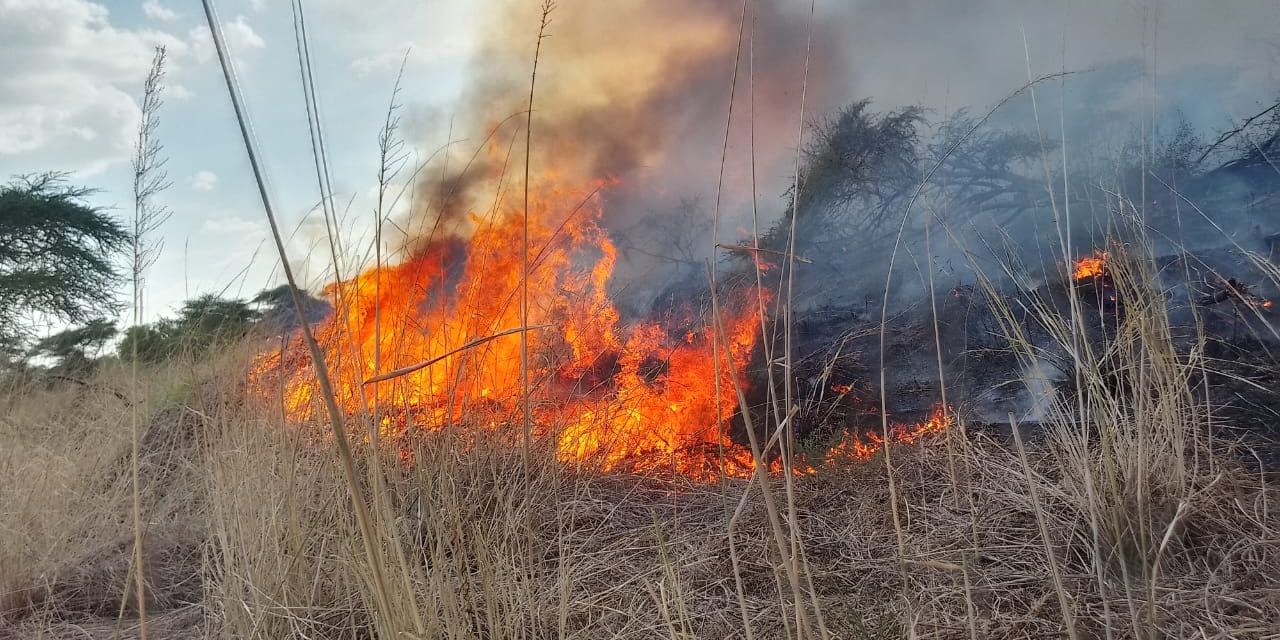 NTV Kenya: Wildfire ravages Isiolo grasslands for fifth day