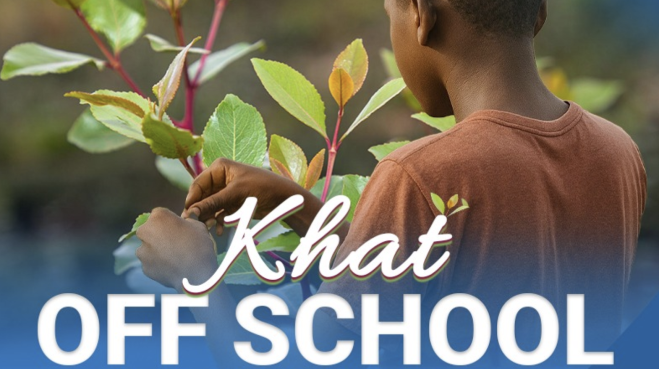 NTV Kenya: The miraa trap: Khat child labour pulling children from ...