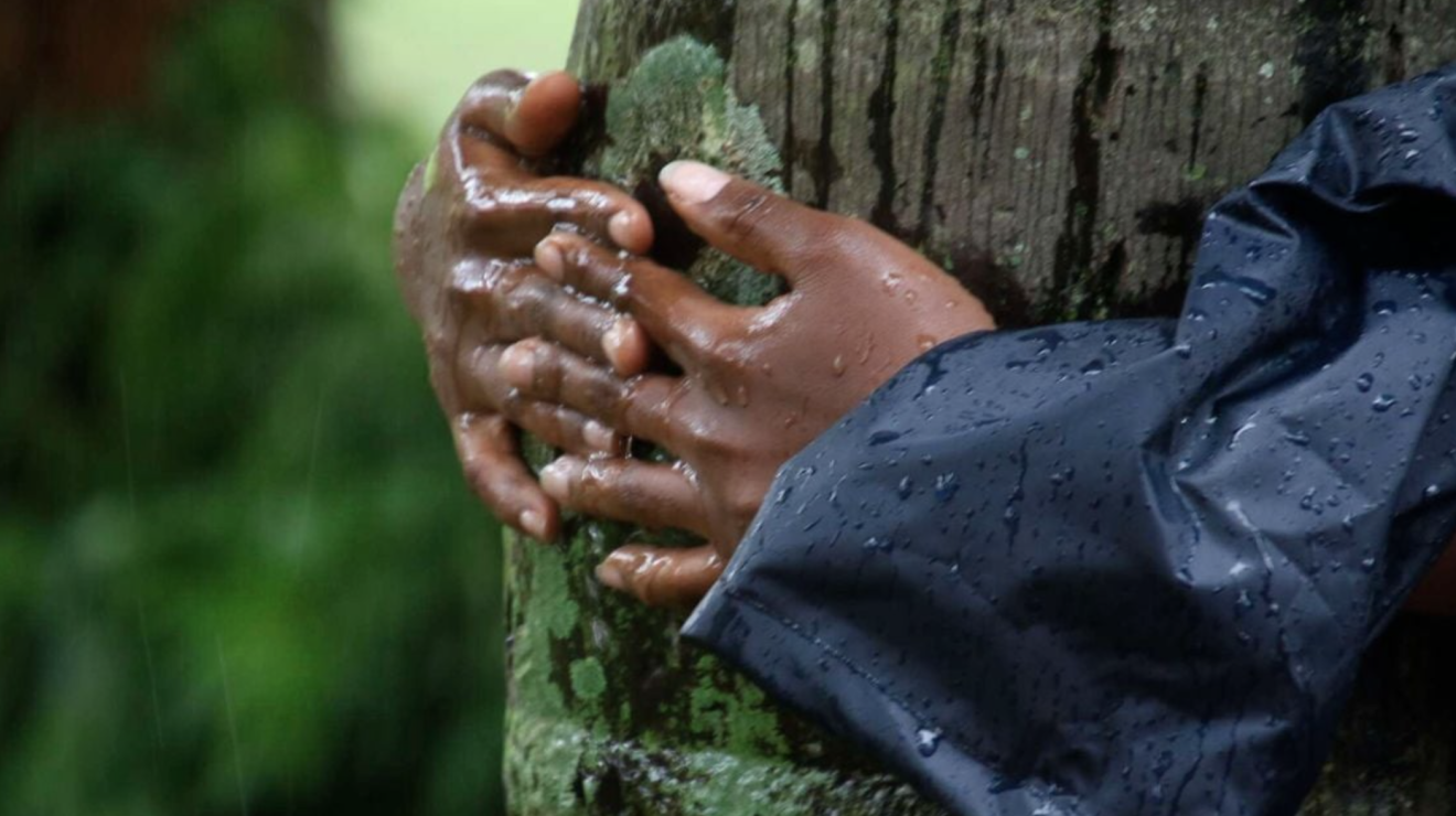 NTV Kenya: Explainer: Breaking a Guinness World Record
